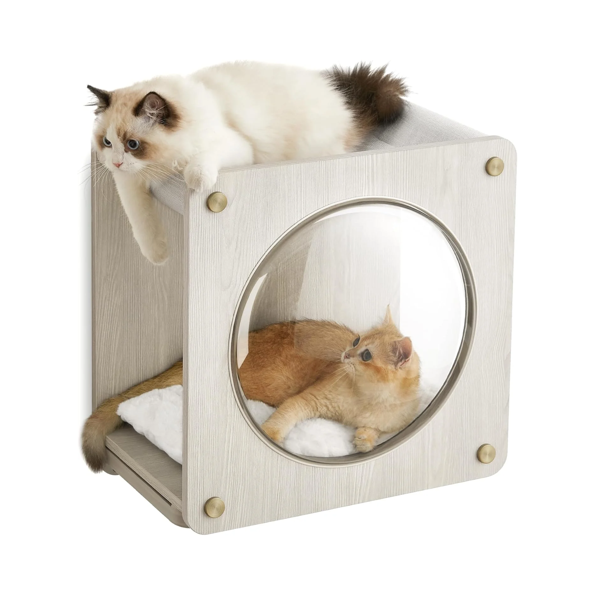Cat Wall Cave Condo with Hammock & Window